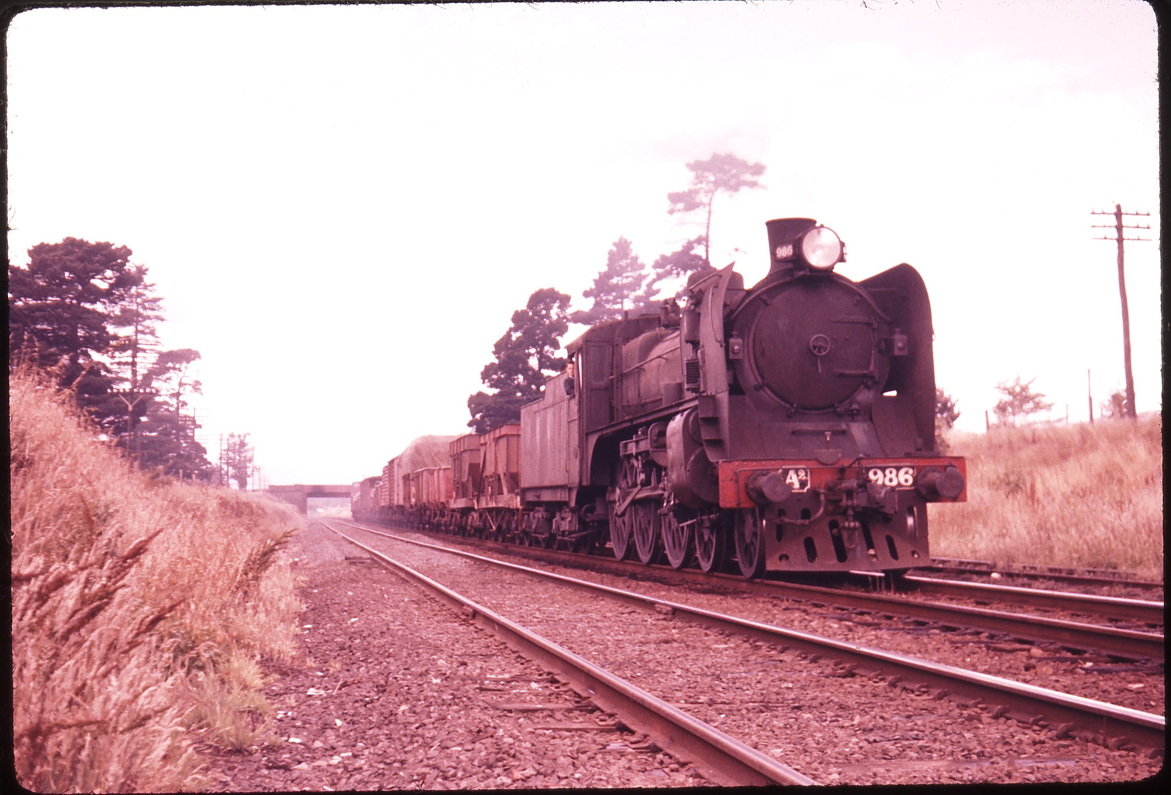 A2 986 | Steamrail Victoria