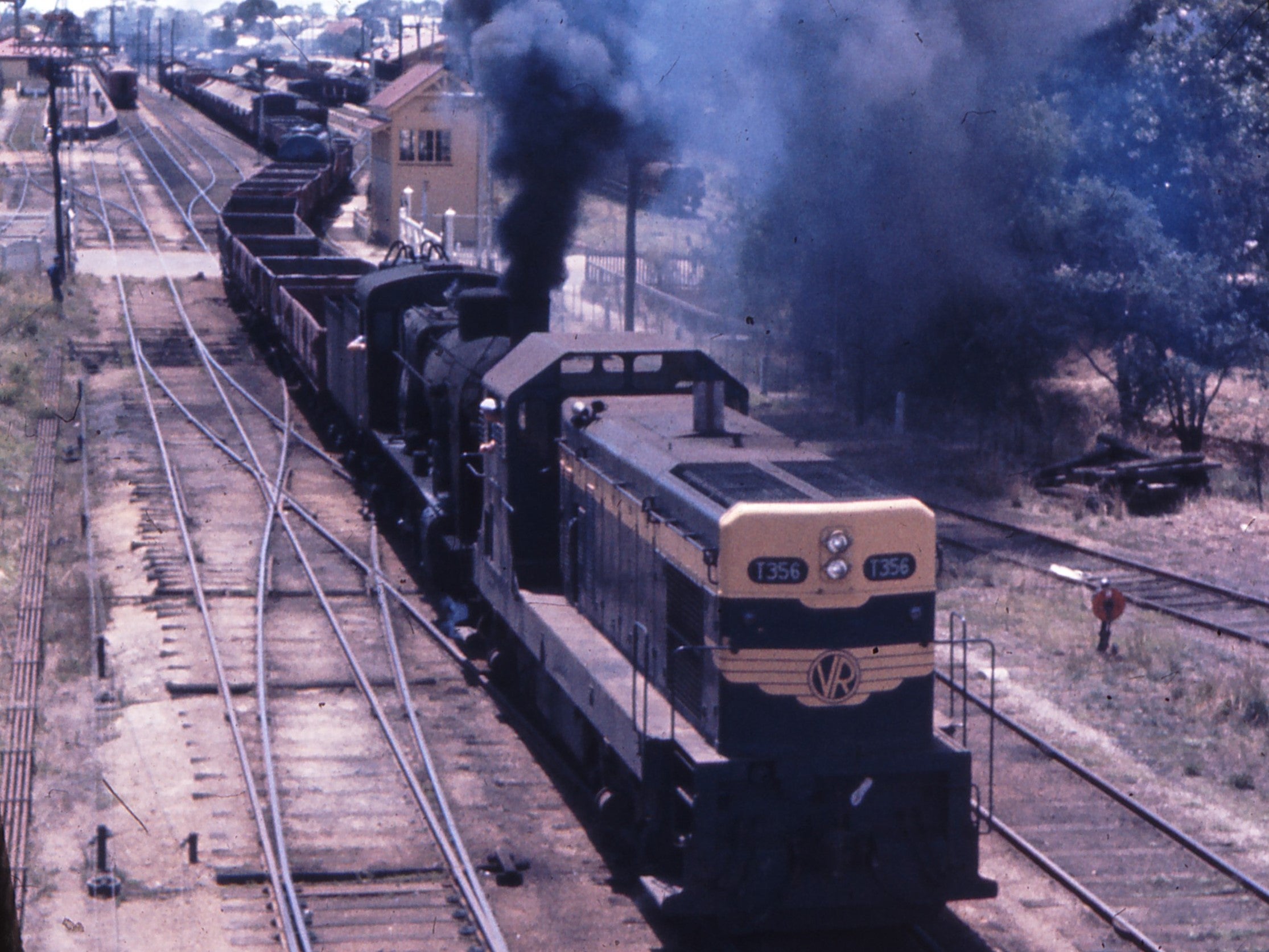 T356 | Steamrail Victoria