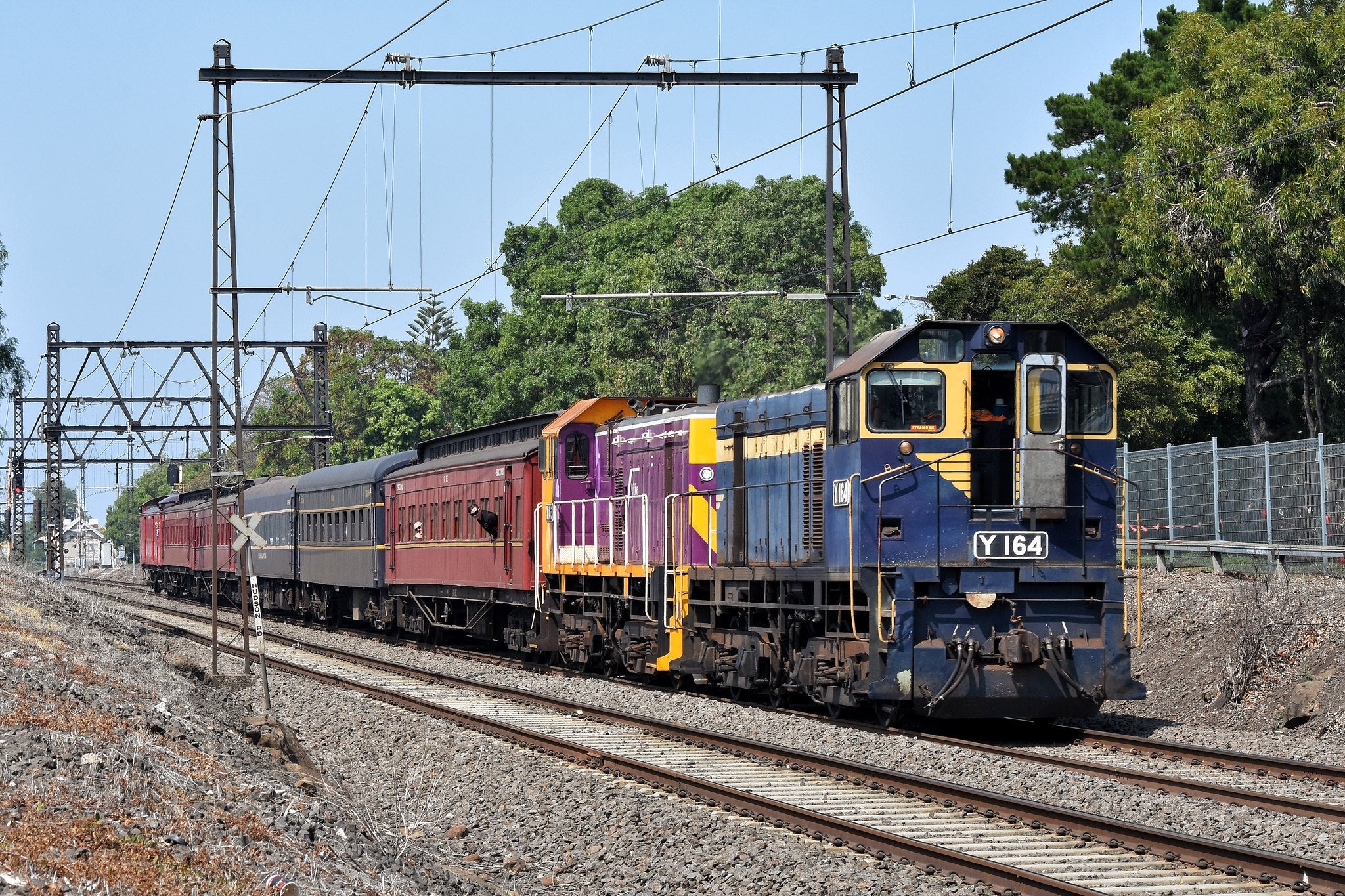 Y164 | Steamrail Victoria