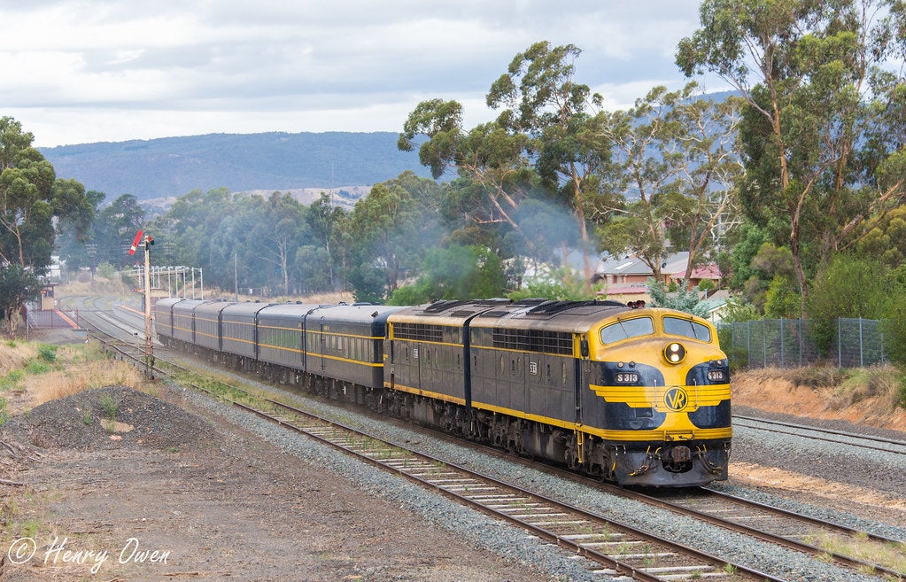 S313 | Steamrail Victoria